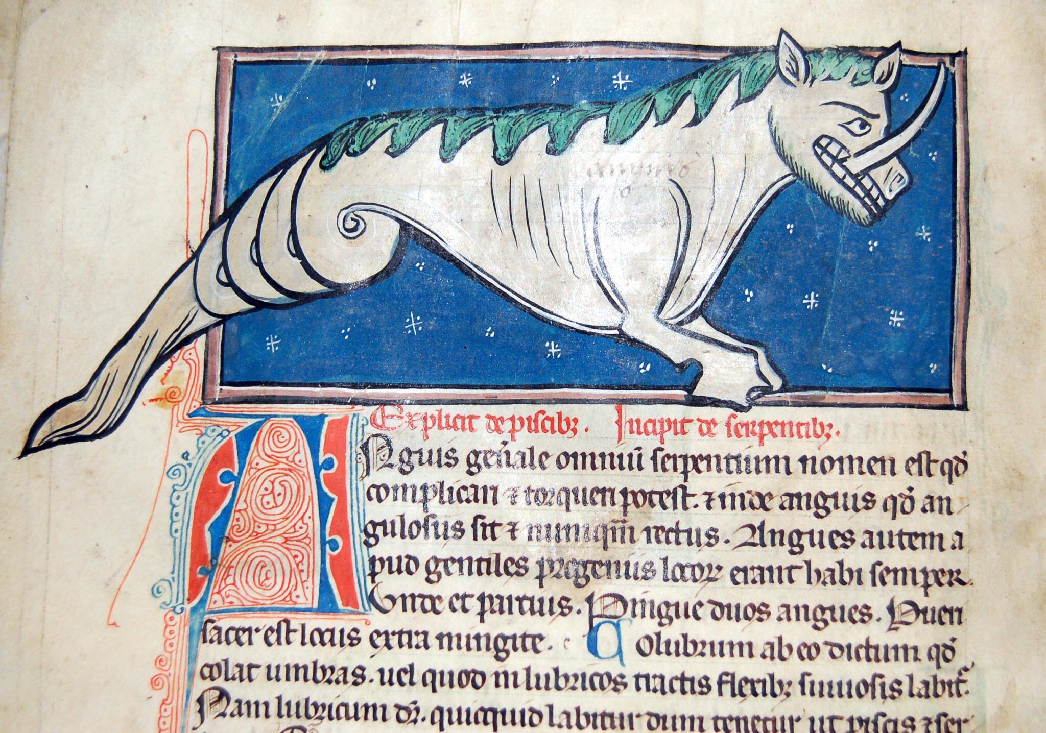 Gold, Gospels and Knights Fighting Snails: An Introduction To ...